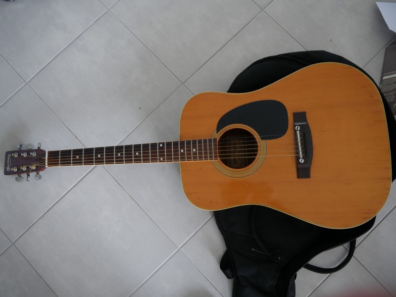 Kiso Suzuki W150 - Guitare acoustique et électro